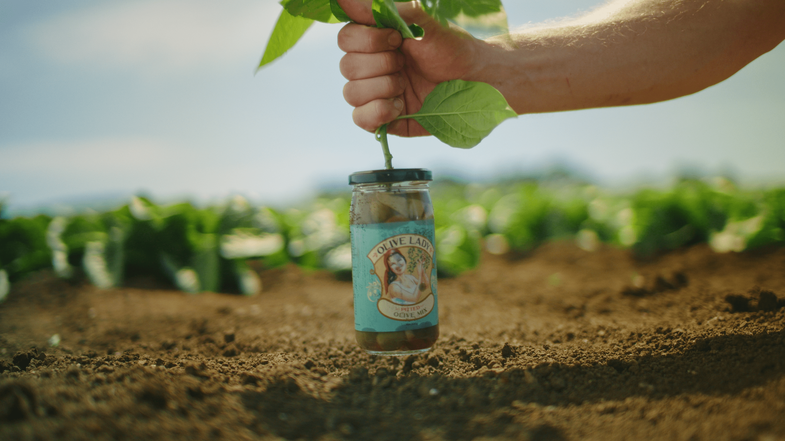 Wonky Box is Ramping up the Rescues | Wonky Box Blog